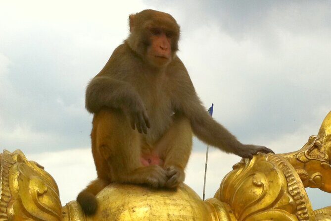 TOP 4 UNESCO World Heritage Sites Tour - Real-World Feedback from Travelers