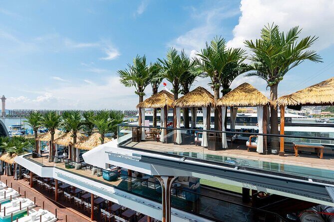 Top 5-Star Halong Bay Day Cruise  Relax, Swim & Scenic Tour - Who Is This Tour Best For?