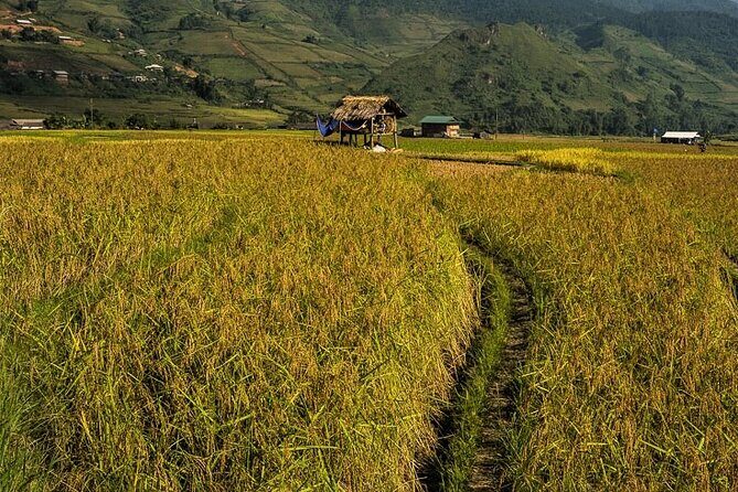 Top Active Vietnam Adventure and full package - Who Should Consider This Tour?