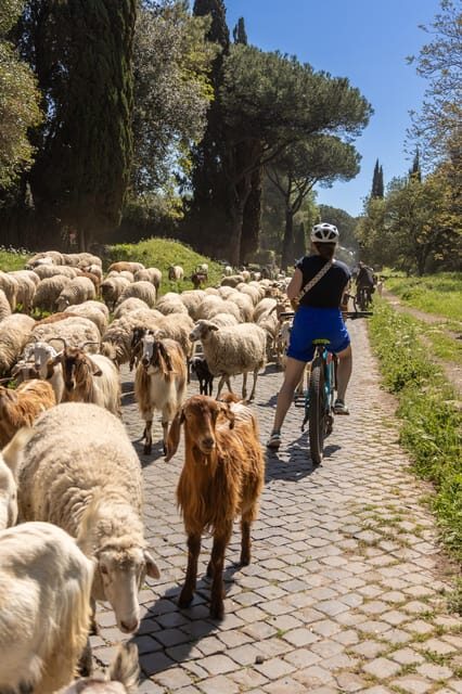 Top Electric MTB Adventure on Appian Way & Aqueducts, (26km) - Key Points