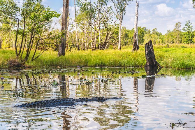 Top End Safari Camp Overnight Tour - Authenticity and Real Experiences from Travelers