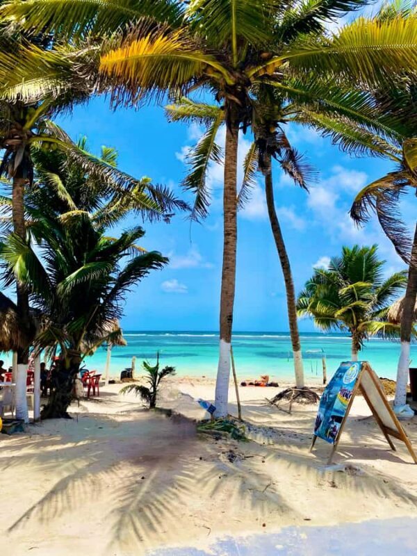 Top Experience: Costa Maya Beach Club Full-Day Pass - Practical Tips for Visiting