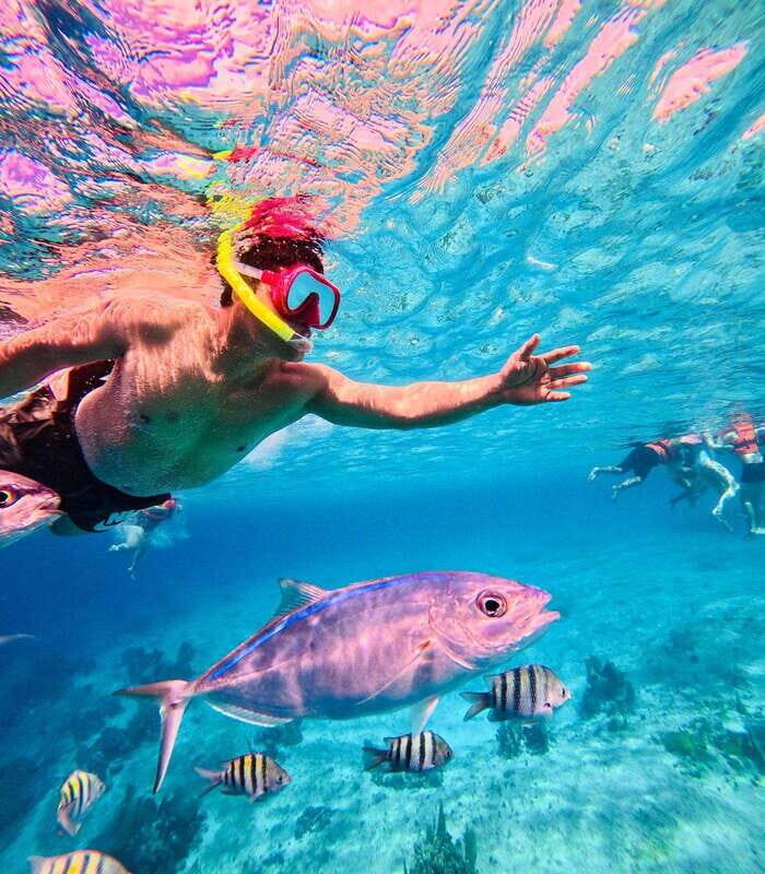 Top Experience: Snorkel & Beach Club All Inclusive / Open Bar & Lunch - An In-Depth Look at the Snorkel & Beach Club All-Inclusive Experience in Costa Maya