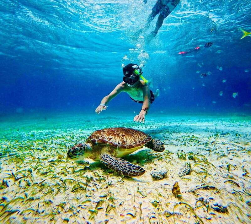 Top Experience: Snorkel & Beach Club All Inclusive / Open Bar & Lunch - Key Points