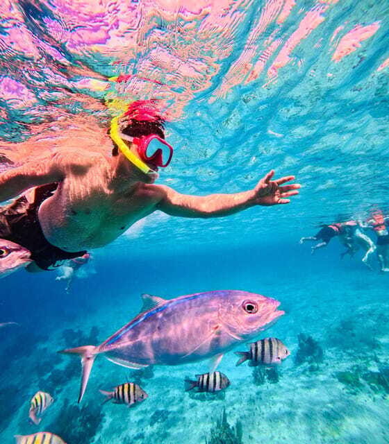 Top Experience: Snorkel & Beach Club All Inclusive / Open Bar & Lunch - Practical Considerations: What You Need to Know