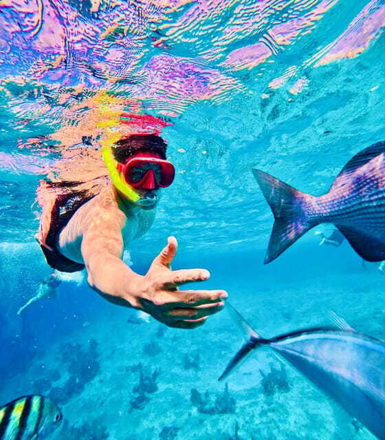 Top Experience: Snorkel & Beach Club All Inclusive / Open Bar & Lunch - Frequently Asked Questions