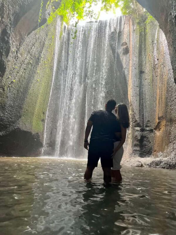 Top Highlights Ubud Private Day Tour - An In-Depth Look at the Ubud Private Day Tour