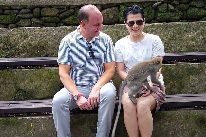 Top Highlights Ubud Private Day Tour - Who Is This Tour Best For?