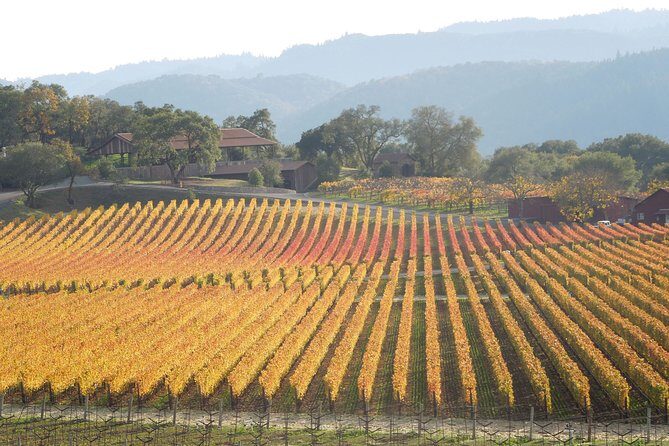 Top Notch Napa Valley Private Custom Tour - What the Experience Feels Like