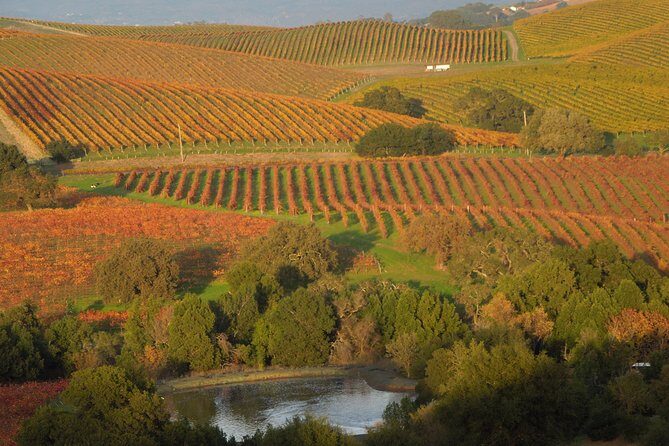 Top Notch Napa Valley Private Custom Tour - Practicalities & Considerations