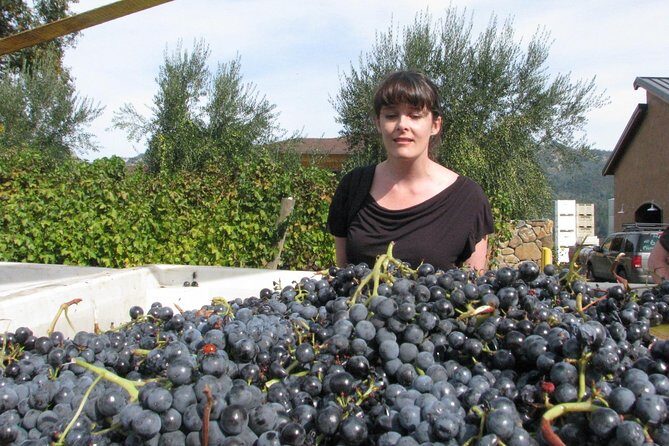 Top Notch Napa Valley Private Custom Tour - FAQs