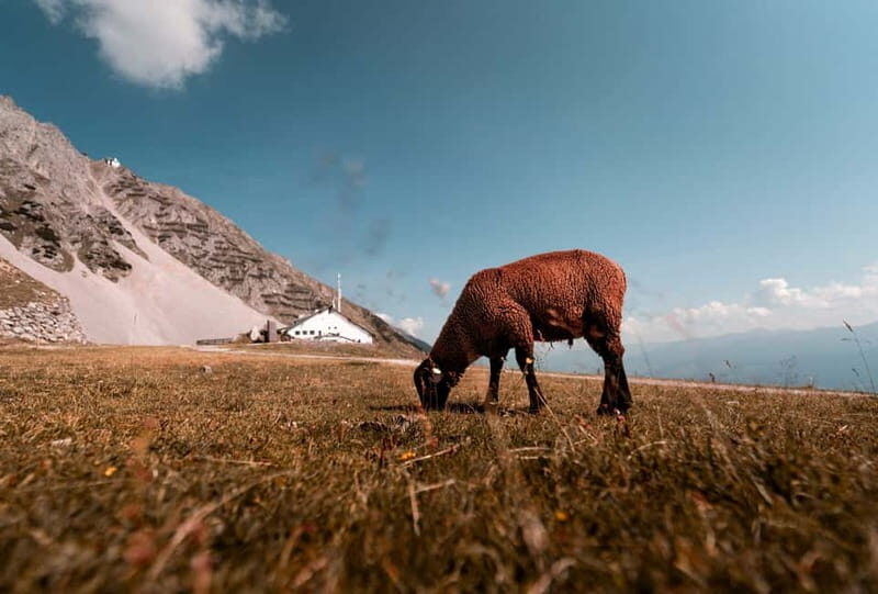 Top of Innsbruck: Roundtrip Cable Car Ticket - Key Points