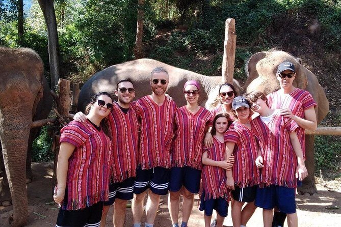 Top Pick - Full or Half Day @Elephant in Wild Sanctuary ChiangMai - An In-Depth Look at the Experience