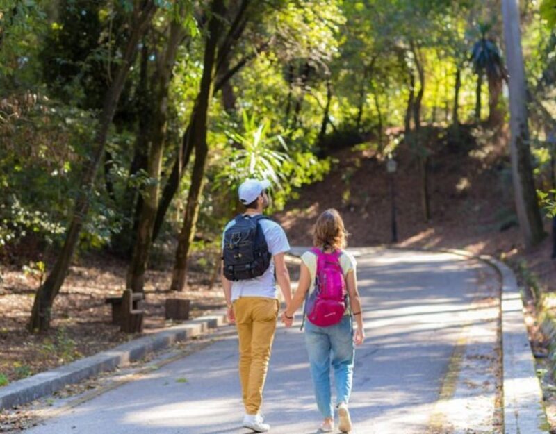Top-Rated Private Custom Corfu Tour - An In-Depth Look at the Corfu Experience