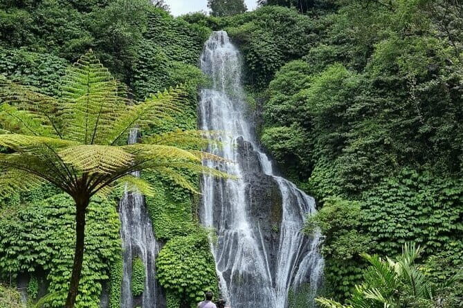 Top scenic Ulundanu & Tanah lot Temple & Banyumala Waterfall - What’s Included and What’s Not