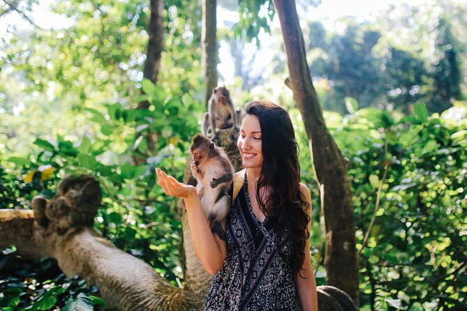 Top scenic Ulundanu & Tanah lot Temple & Banyumala Waterfall - Final Thoughts: Who Will Love This Tour?