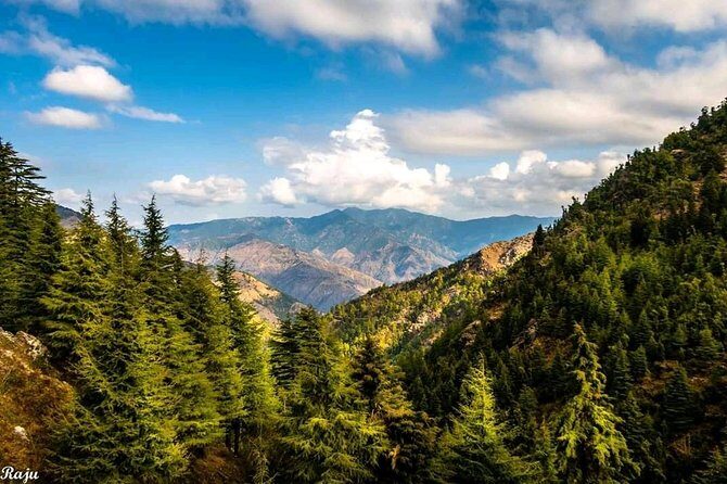 Top Tibba Trek - Mussoorie - FAQ about the Top Tibba Trek