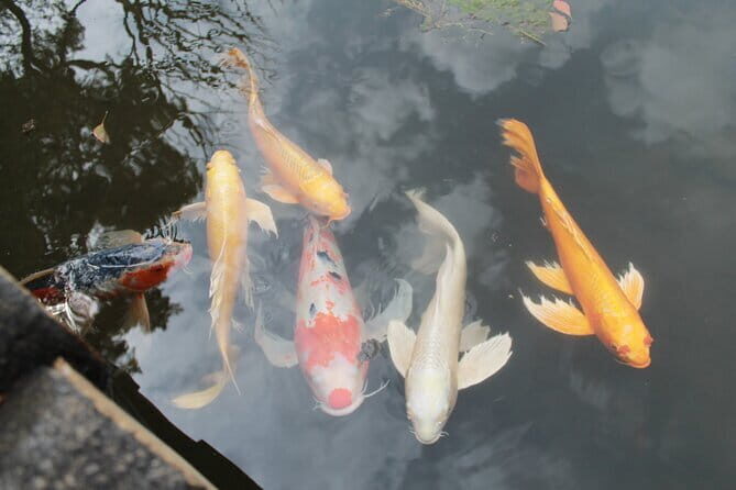 Tóquio: Palácio Imperial - Passeio pela História (Guia PT) - Practicalities & Tips