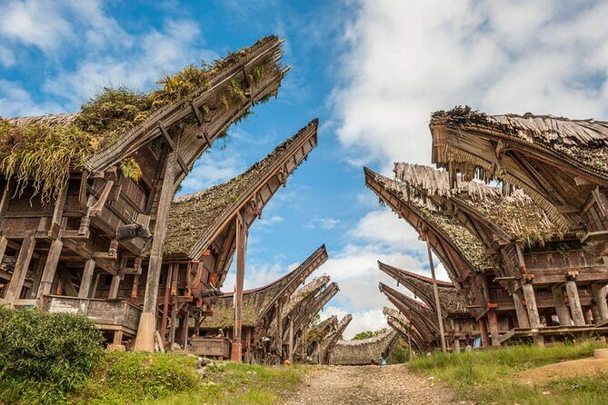 Toraja Highlight 3 Days - What to Expect from the Tour