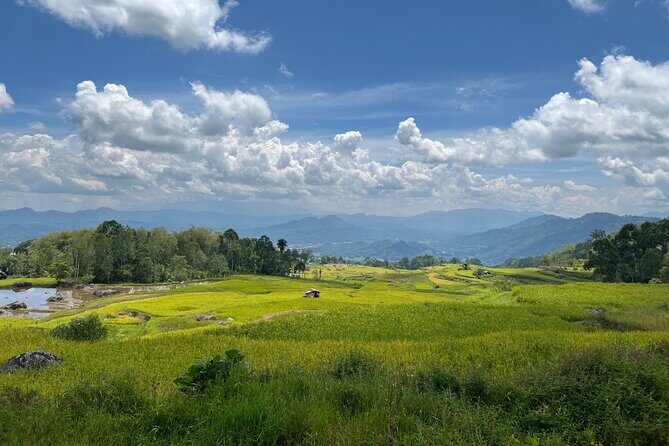 Toraja Highlight 3 Days - Who Should Consider This Tour?