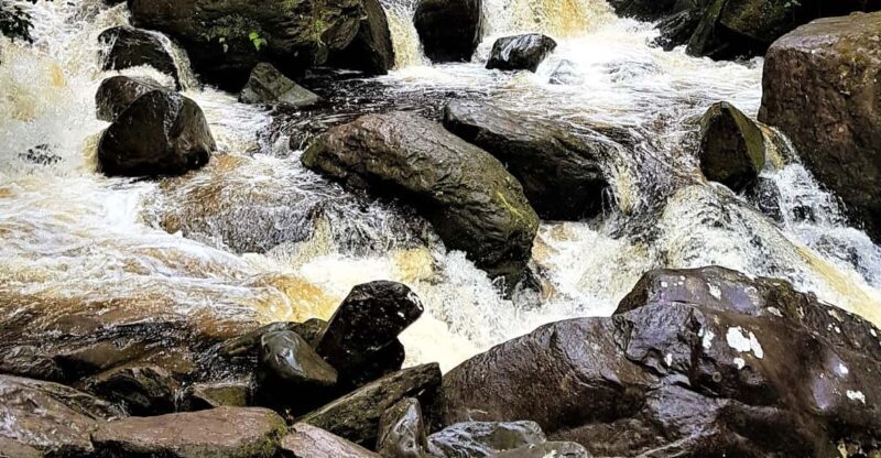 Torc waterfall & mountain hike. Kerry. Private guided. - Key Points