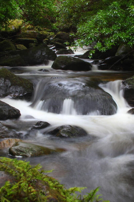 Torc waterfall & mountain hike. Kerry. Private guided. - Who Would Enjoy This Tour?