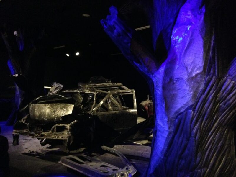 Torino: The Car Museum Skip-The-Line Tour - Who Should Consider This Tour?