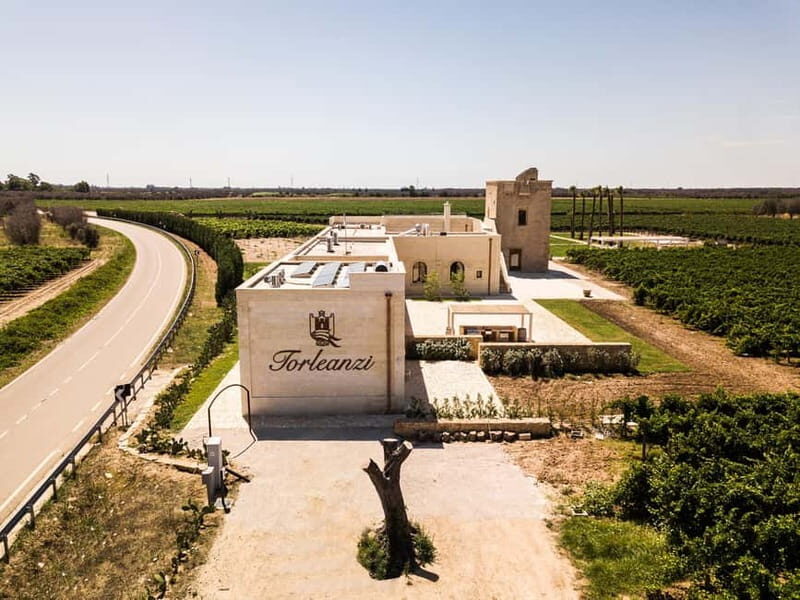 TORLEANZI: wine tour and tasting at winery in Torre San Gennaro - Key Points