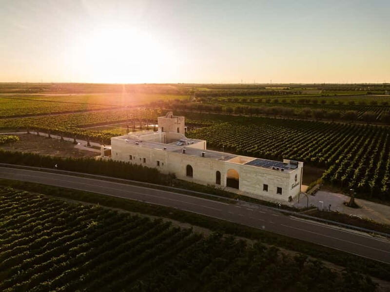 TORLEANZI: wine tour and tasting at winery in Torre San Gennaro - Exploring the Historic Masseria