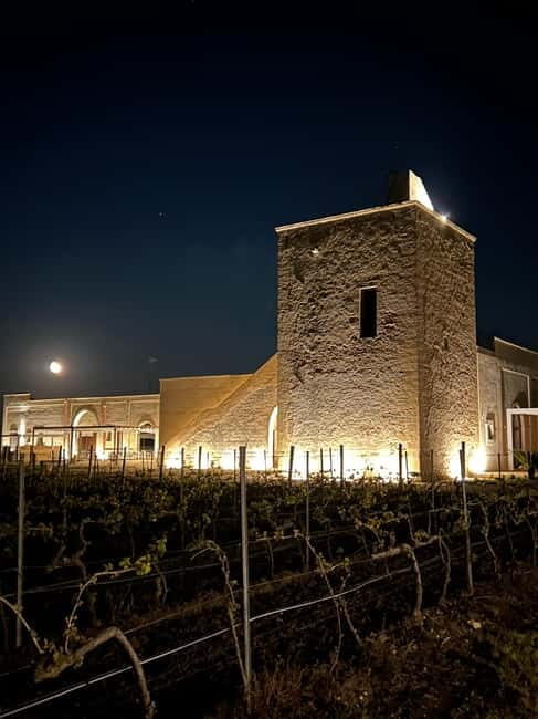 TORLEANZI: wine tour and tasting at winery in Torre San Gennaro - Practical Details and Value