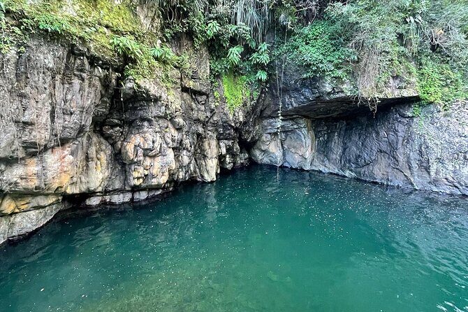 Toro Negro River Hike & Cliff Jumping Adventure; San Juan Pick Up - The Journey Begins: From San Juan to Toro Negro