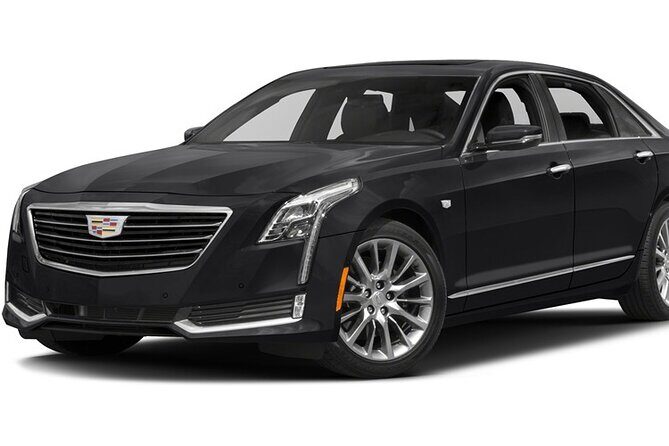 Toronto Airport Private Arrival Transfer-YYZ to Toronto Downtown - Potential Drawbacks