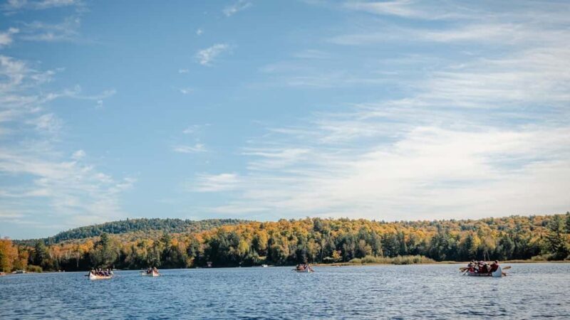 Toronto: Algonquin Park and Ragged Falls Day Trip - Key Points