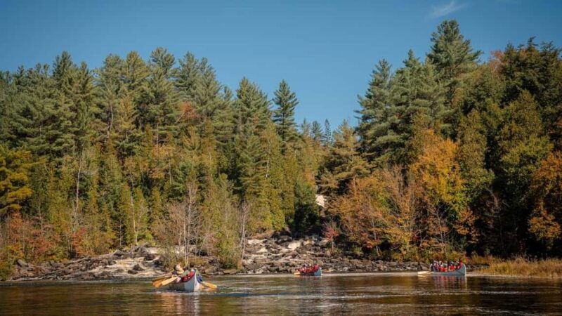 Toronto: Algonquin Park and Ragged Falls Day Trip - FAQ
