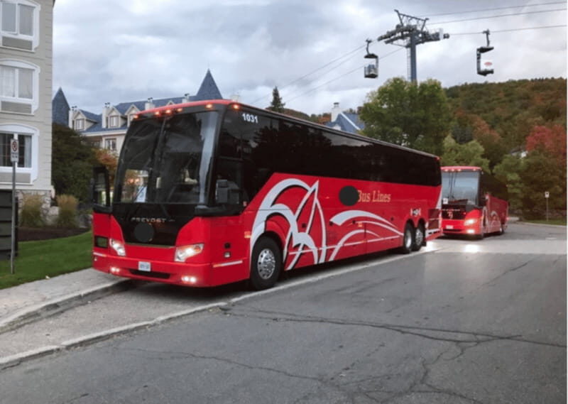 Toronto and Niagara Falls: Full-Day City and Nature Tour - Key Points