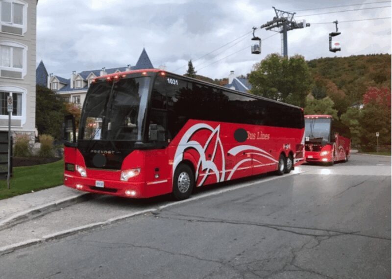 Toronto and Niagara Falls: Full-Day City and Nature Tour - The Sum Up