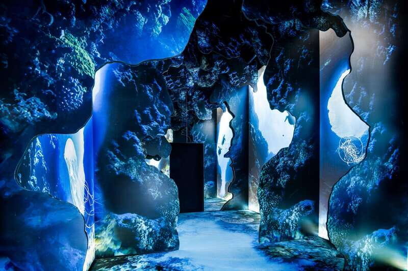 Toronto: Arcadia Earth, Immersive Experience Anytime Ticket - Key Points