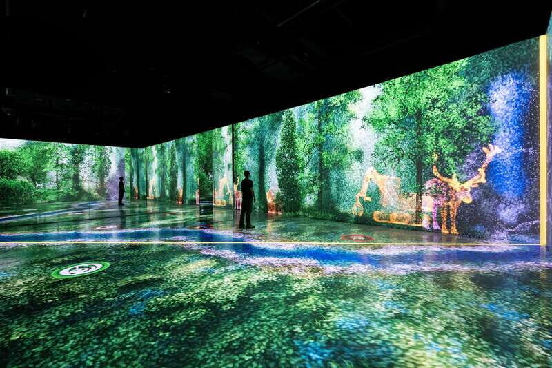 Toronto: Arcadia Earth, Immersive Experience Anytime Ticket - A Closer Look at the Experience