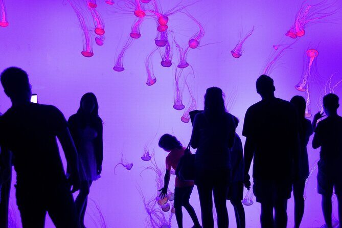 Toronto City Highlights Express Tour - Key Points