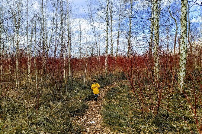 Toronto Custom Private Walking Tour of Hidden Gems with a Local - Historic Pedestrian Neighborhood