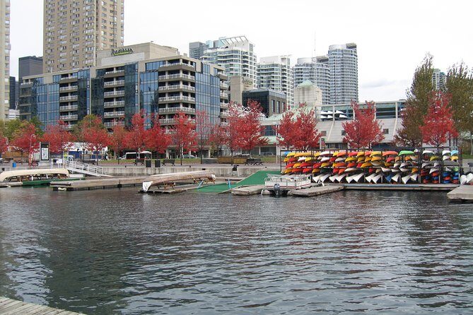 Toronto Downtown Private Walking Tour - What Visitors Are Saying