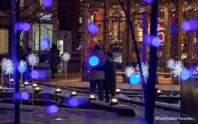 Toronto: Festive Lights Bus Tour - Who Should Consider This Tour?