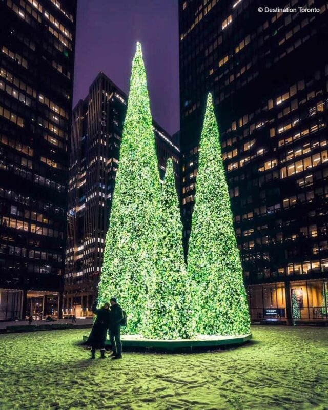 Toronto: Guided City Sightseeing Festive Lights Bus Tour - The Sum Up