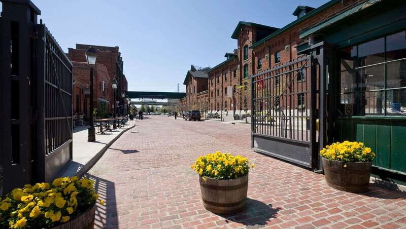 Toronto: Highlights & Hidden Gems Private Tour With a Local - An Insider Approach to Toronto