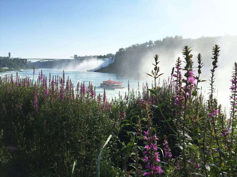 Toronto: Niagara Falls Day Tour with Hornblower Cruise - Authentic Experiences and Traveler Insights