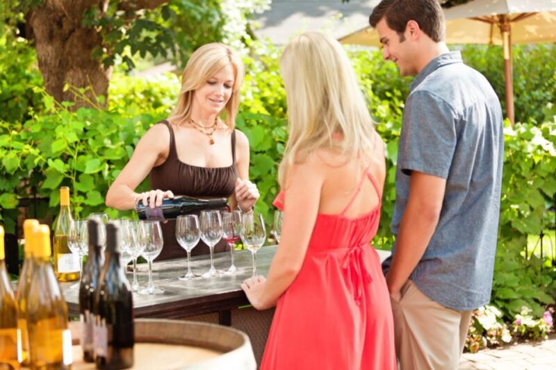 Toronto: Niagara Wineries Tasting Tour & Optional Lunch - Who Will Enjoy This Tour?