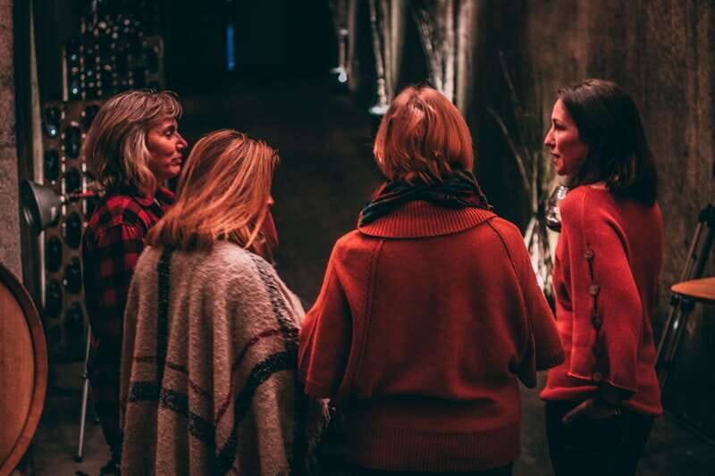 Toronto: Niagara Wineries Tasting Tour & Optional Lunch - Final Thoughts