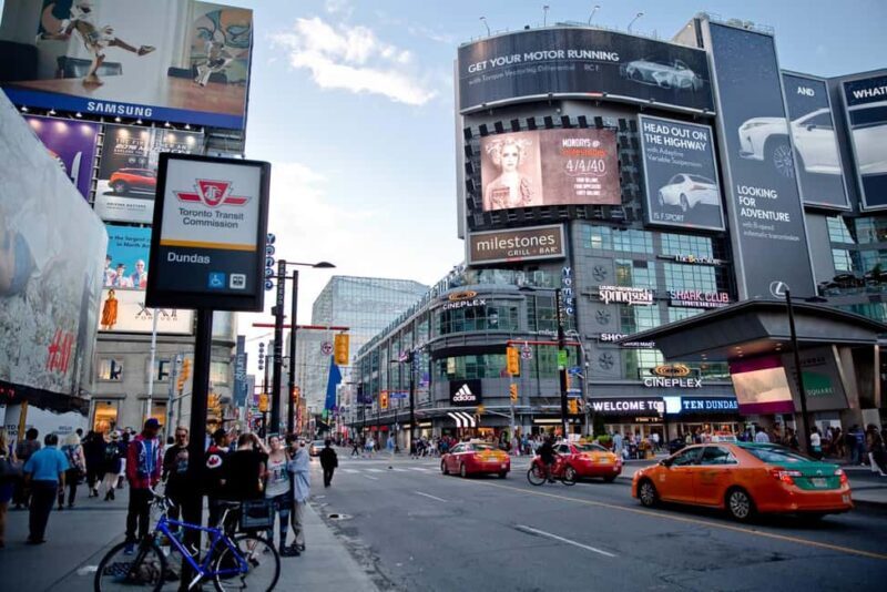 Toronto: Premium Driving Tour with Tower and Harbour Cruise - Final Thoughts