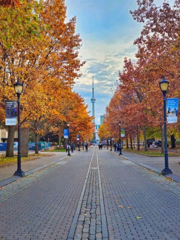 Toronto  Private 2-Hour Photoshoot with a Pro Photographer - The Value & Pricing