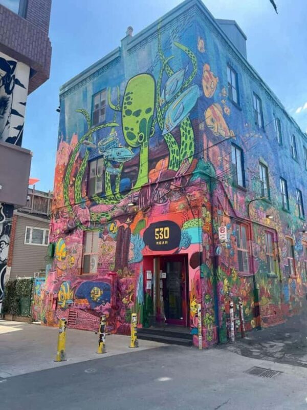 Toronto  Private 2-Hour Photoshoot with a Pro Photographer - The Practicalities